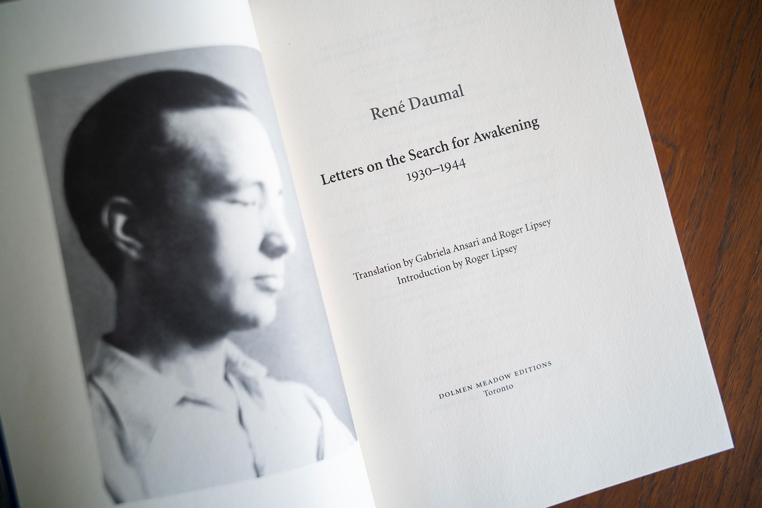 Roger Lipsey - author, biographer, art historian, editor, translator